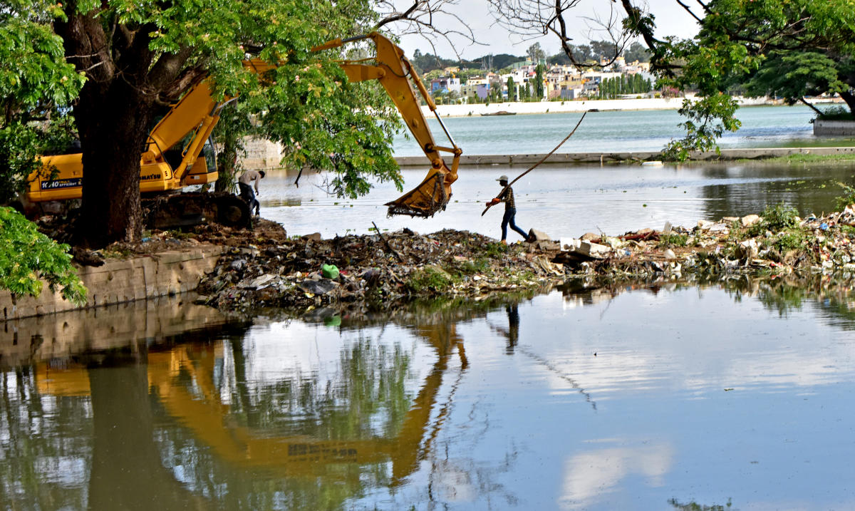 Top Pond Development Company & Consultants in Delhi, India